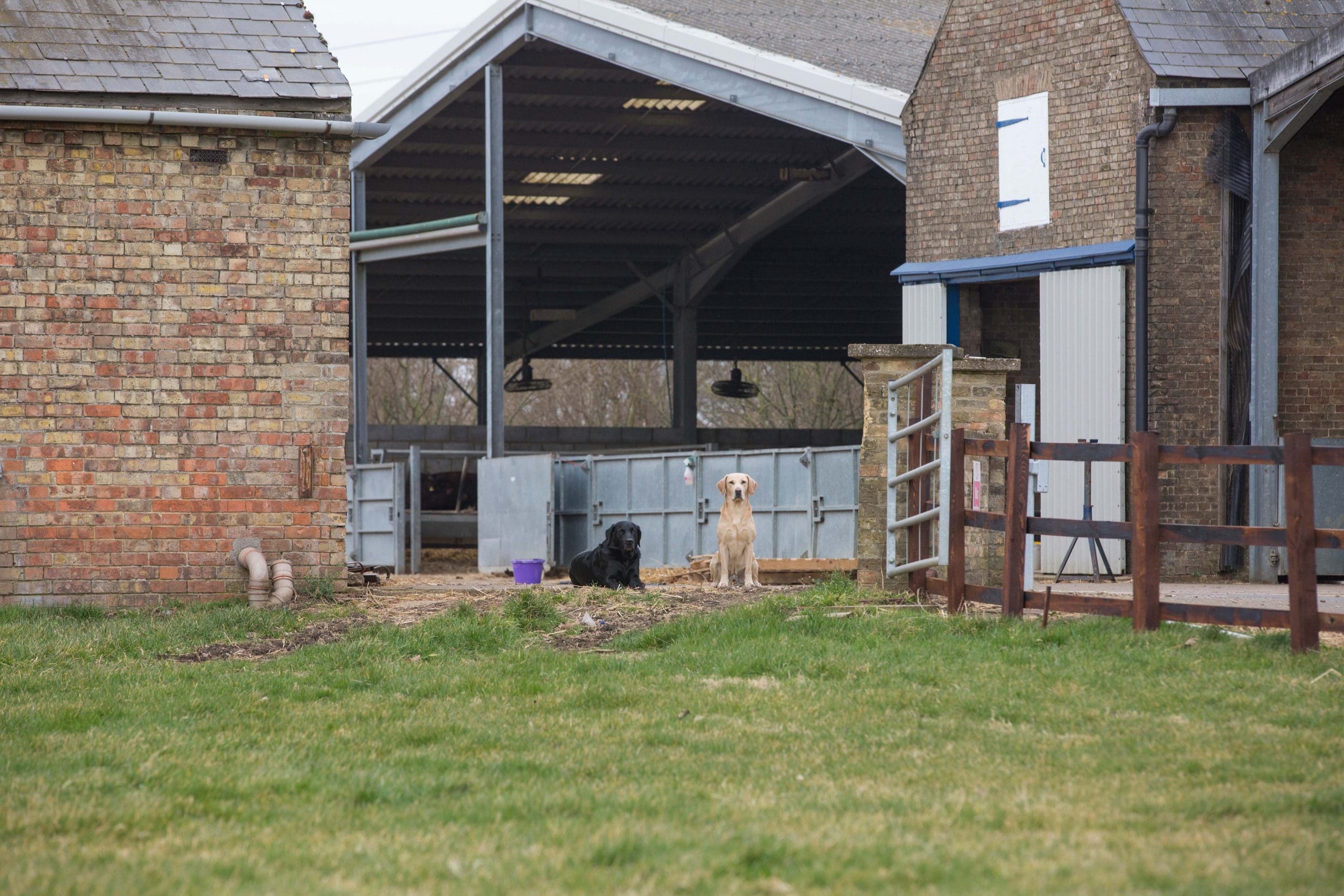 Gallery | bowthorpeparkfarm