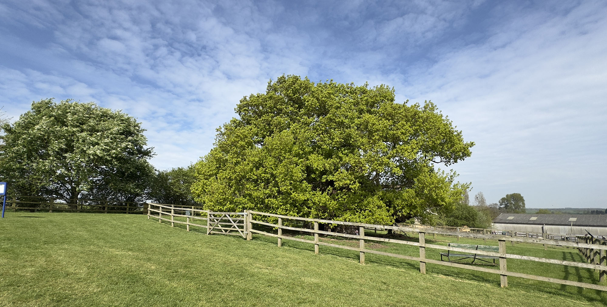 Bowthorpe Park Farm The Home Local Reared Meat. | Bowthorpe Park Farm ...